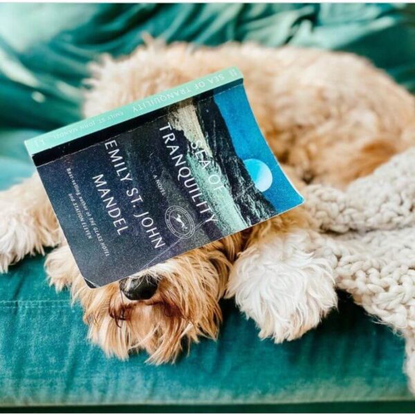She Reads | What to Read Next