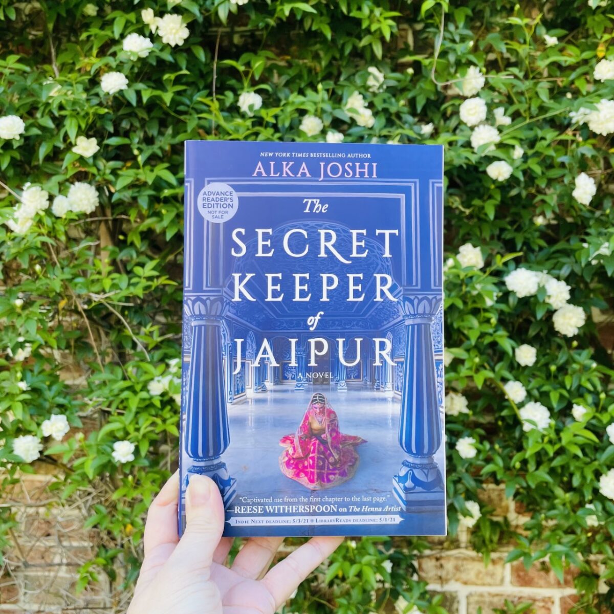 She Reads | What to Read Next