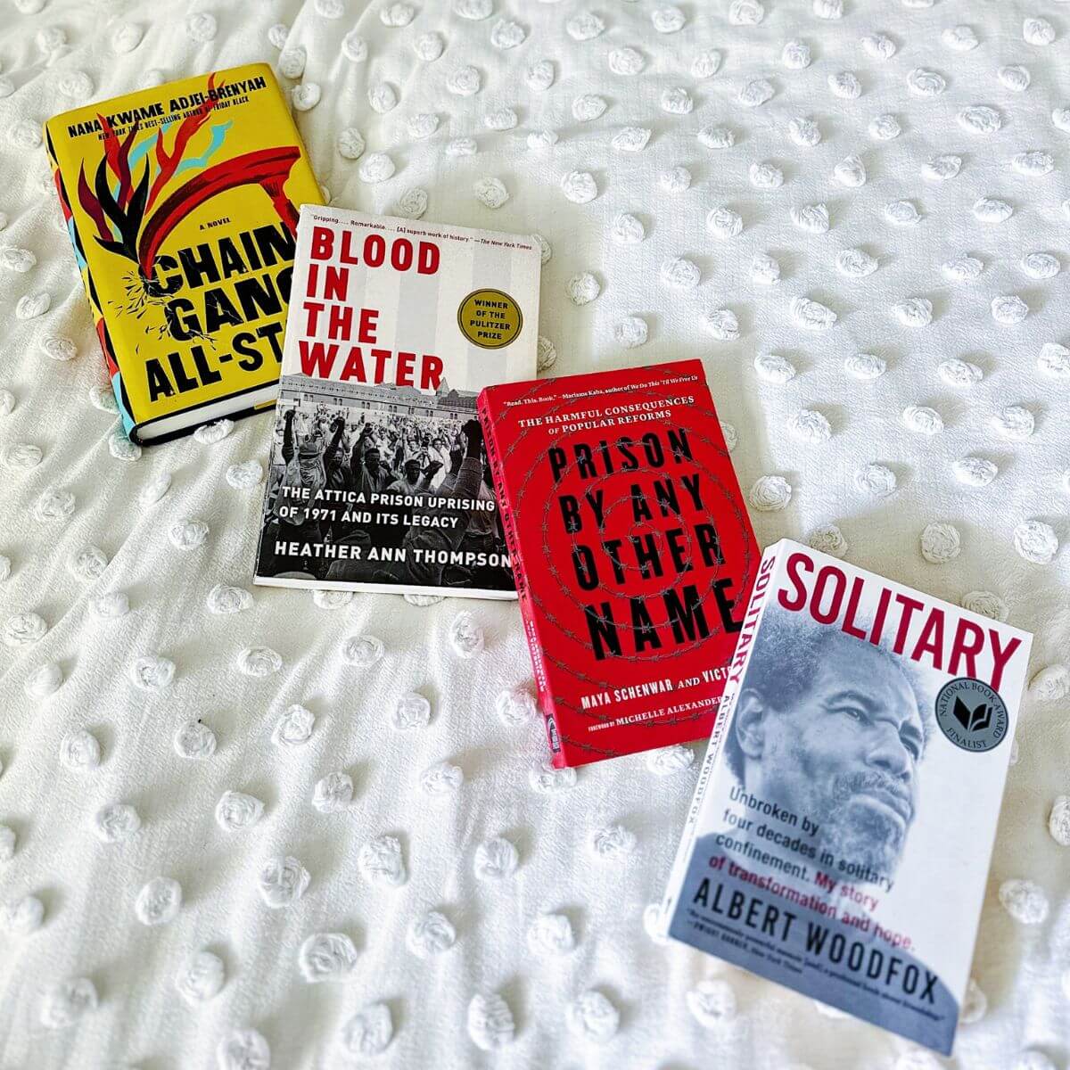 Voter Literacy, with Traci: The Prison System - She Reads
