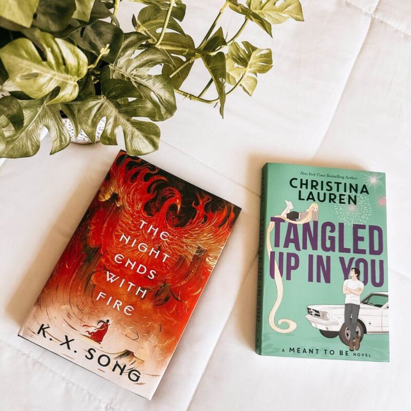 YA and Adult Books for Disney Fans - She Reads