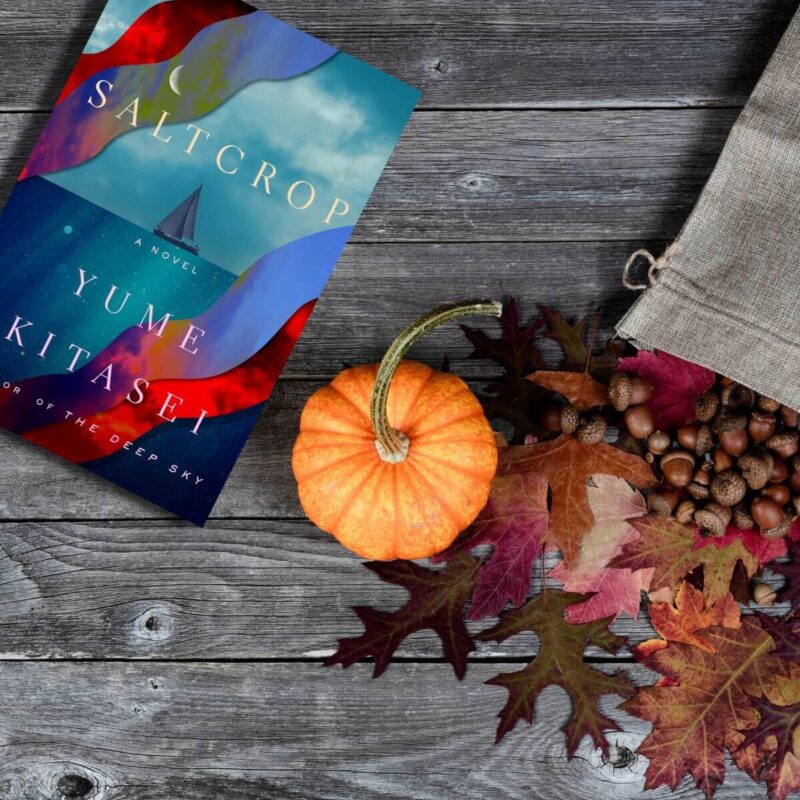 Books About Body and Life Swapping - She Reads